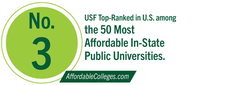 USF Pathway to Computing Certificate